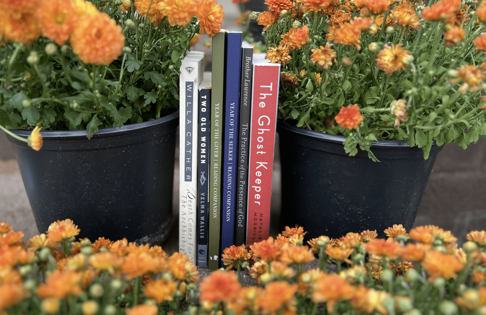 A Reflection on the Year of the Giver