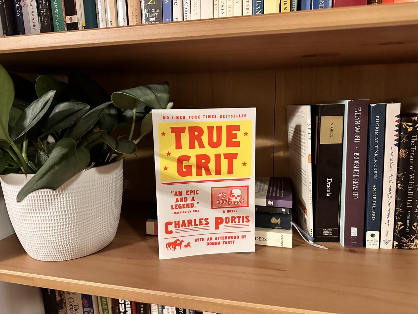 How Boldness is Both Necessary and Attainable - Well-Read Mom