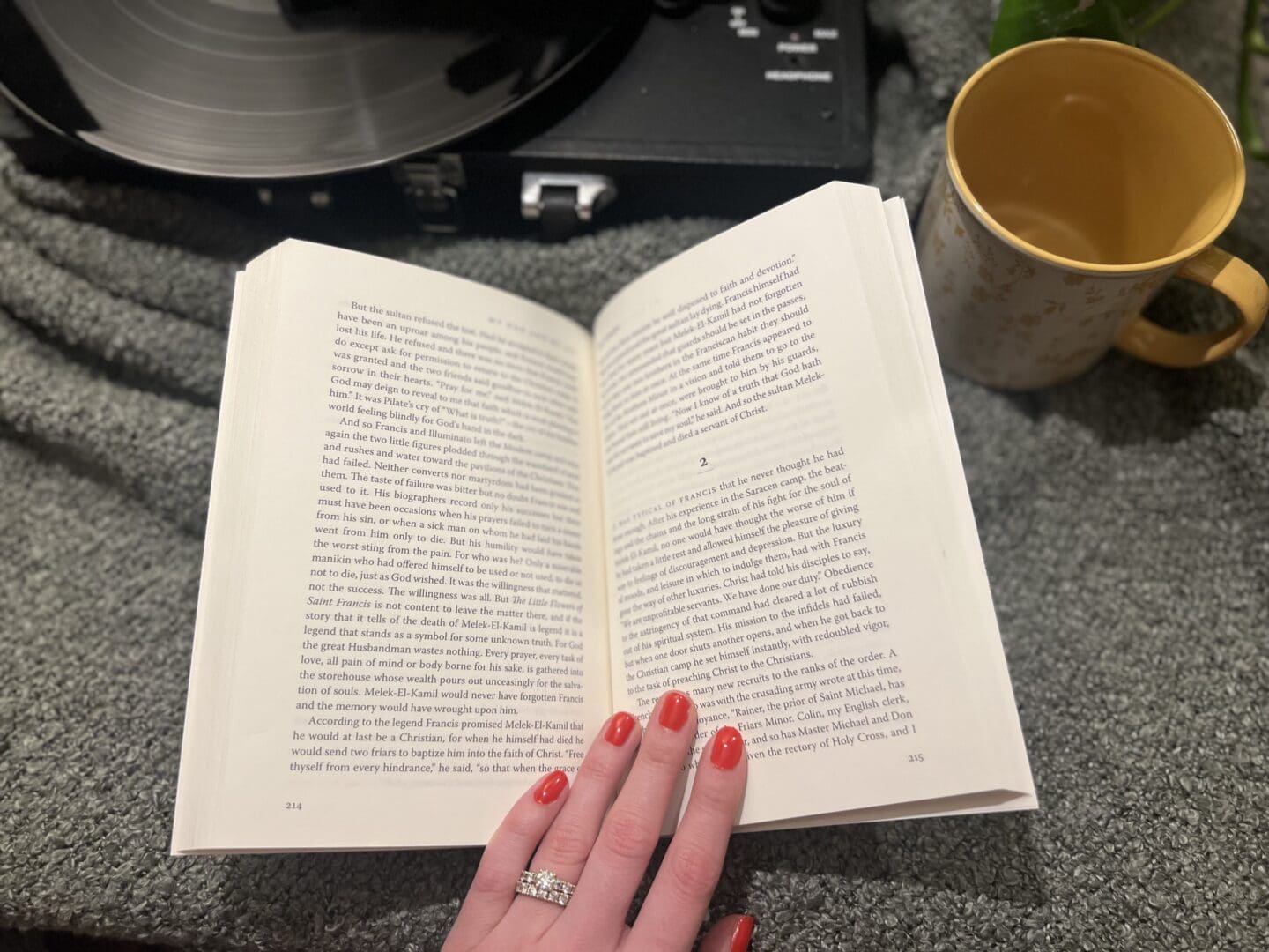 A New Look at St. Francis - Well-Read Mom